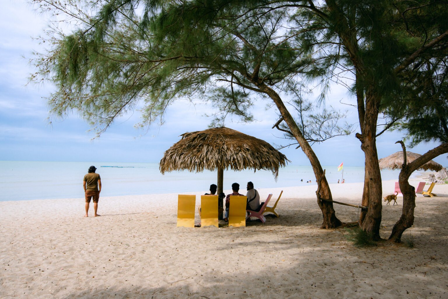 Casuarina Beach Excursion | Jaffna Beaches | Thambu Illam